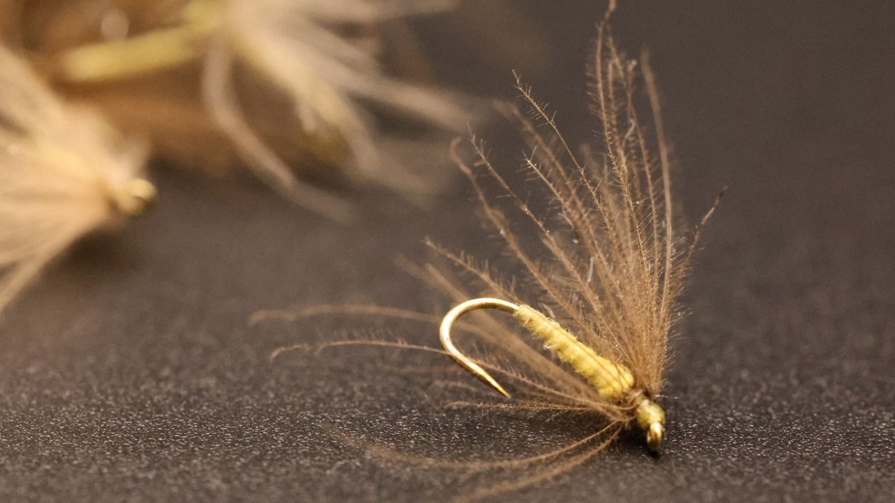Sulphur Puff Daddy – Tailwaters Fly Company